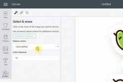 How to convert an image to a multi-layer cut file using only Design Space - NeliDesign